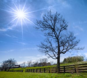 Brentwood Photography Group - Nashville Area Camera and Photography ...